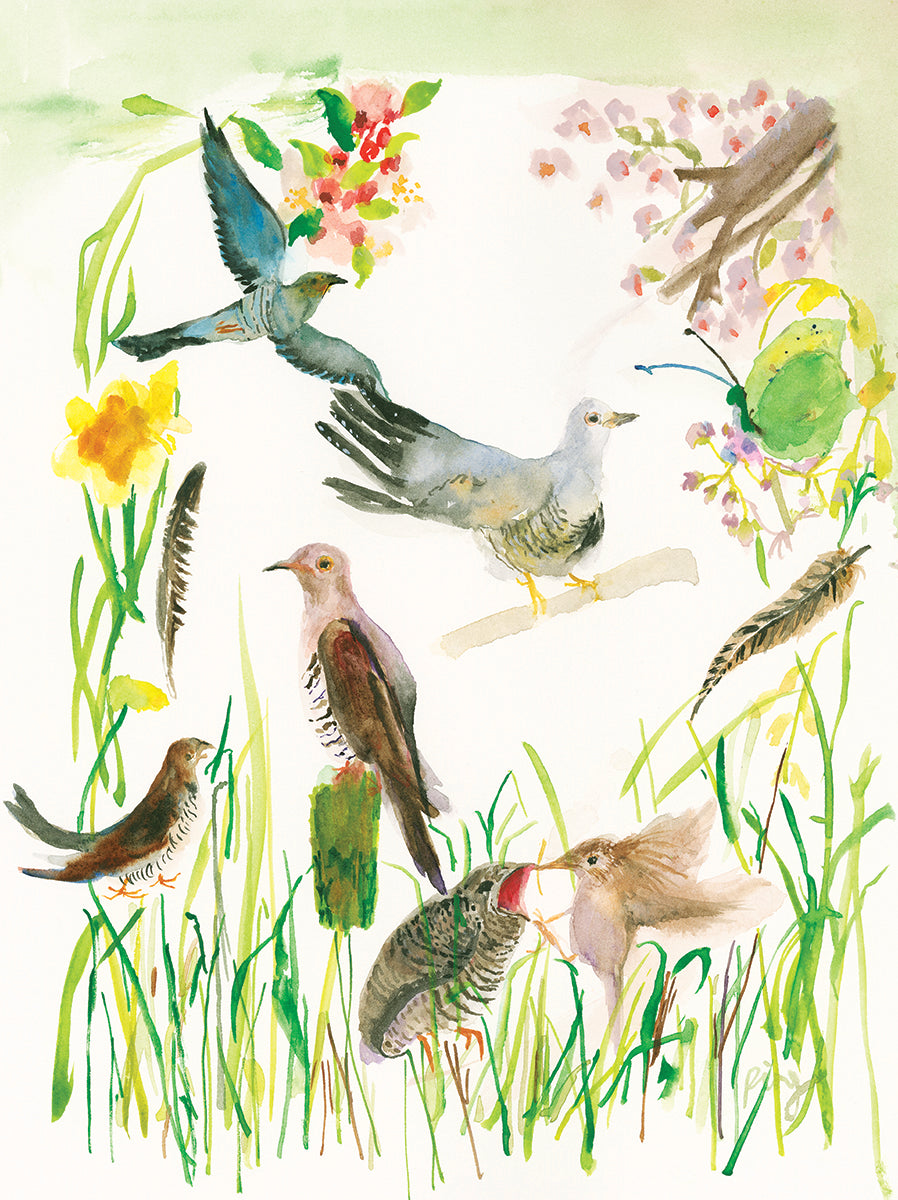 A4 Common Cuckoo Art Print – Ping He Art